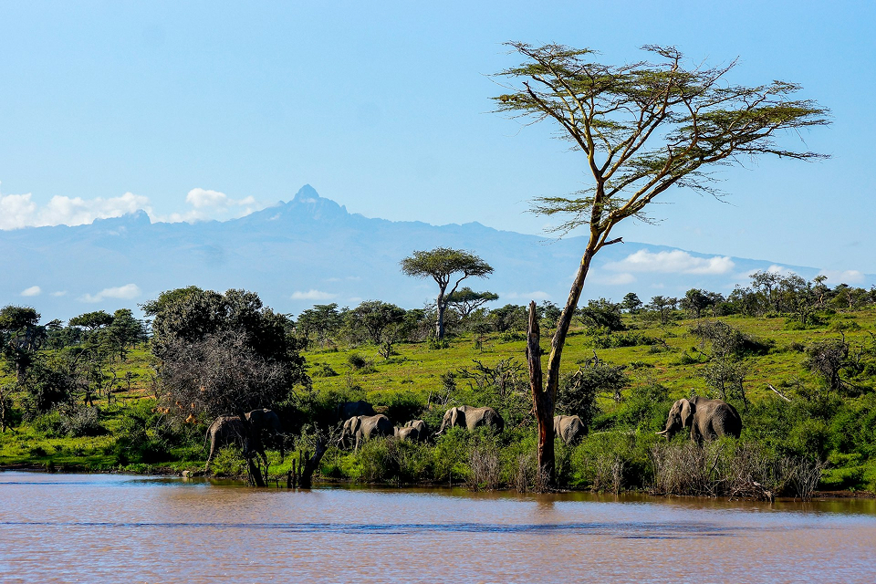 Mount Kenya Hiking & Wildlife | Meteor Adventures Ltd